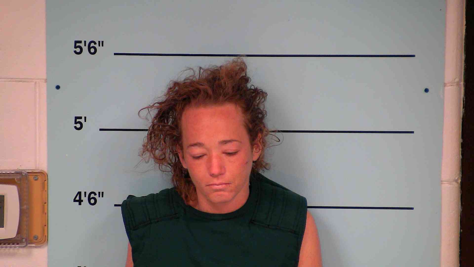 New details emerge in gruesome Robertson Co. murder case - WTVQ