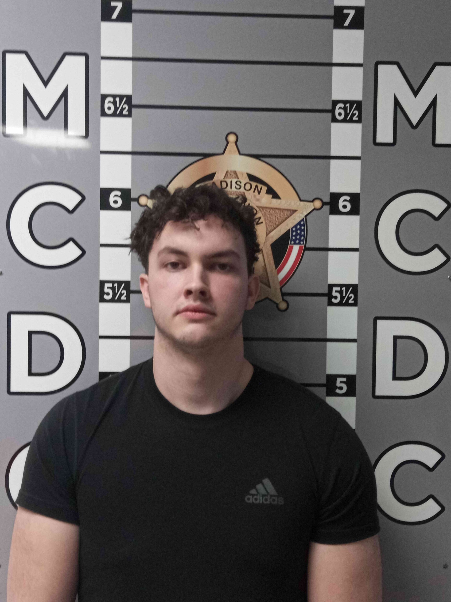 Madison County man charged with rape, sodomy after alleged assault of ...
