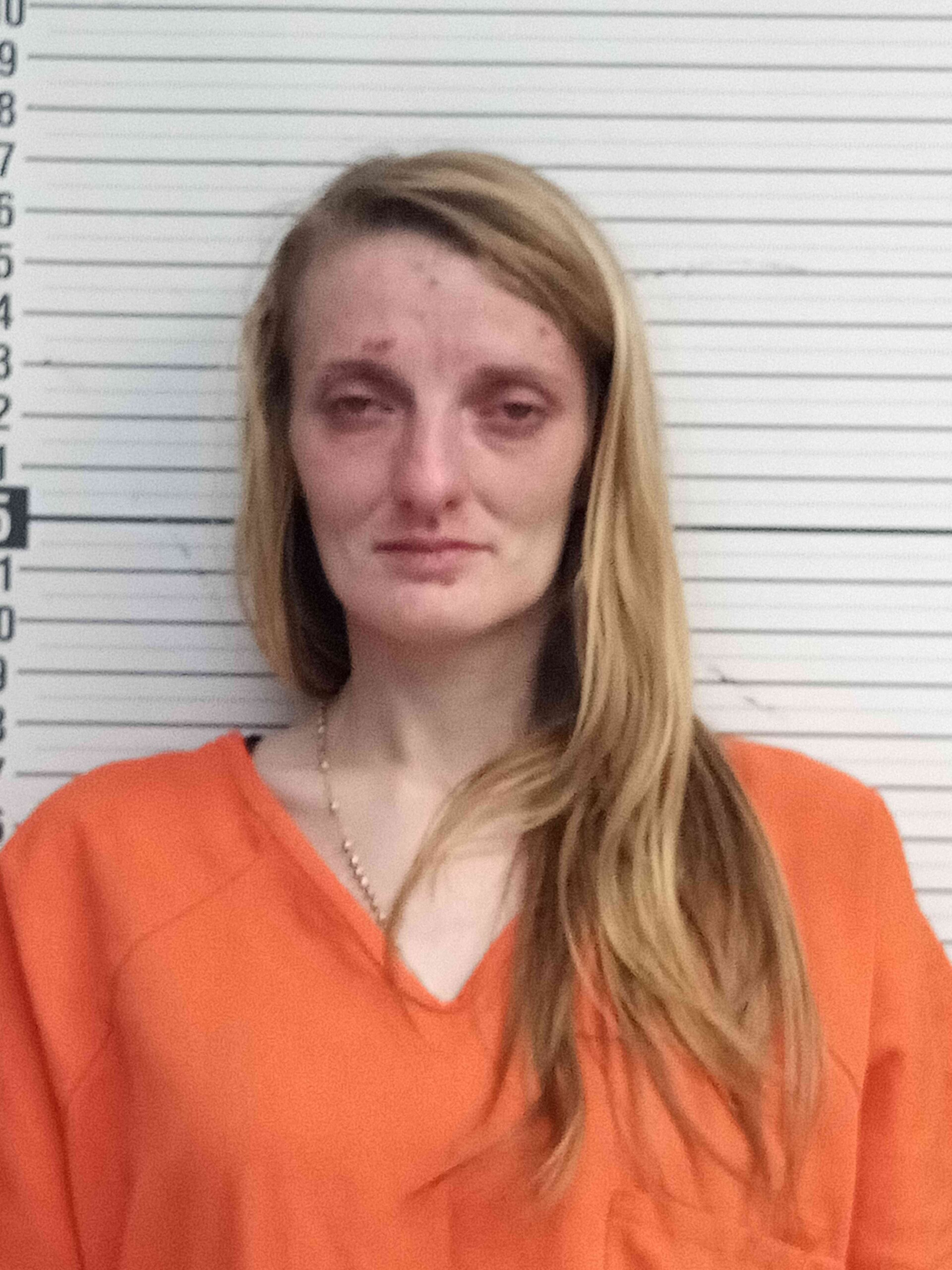 Wayne County woman arrested for assaulting grandfather, drug charges ...